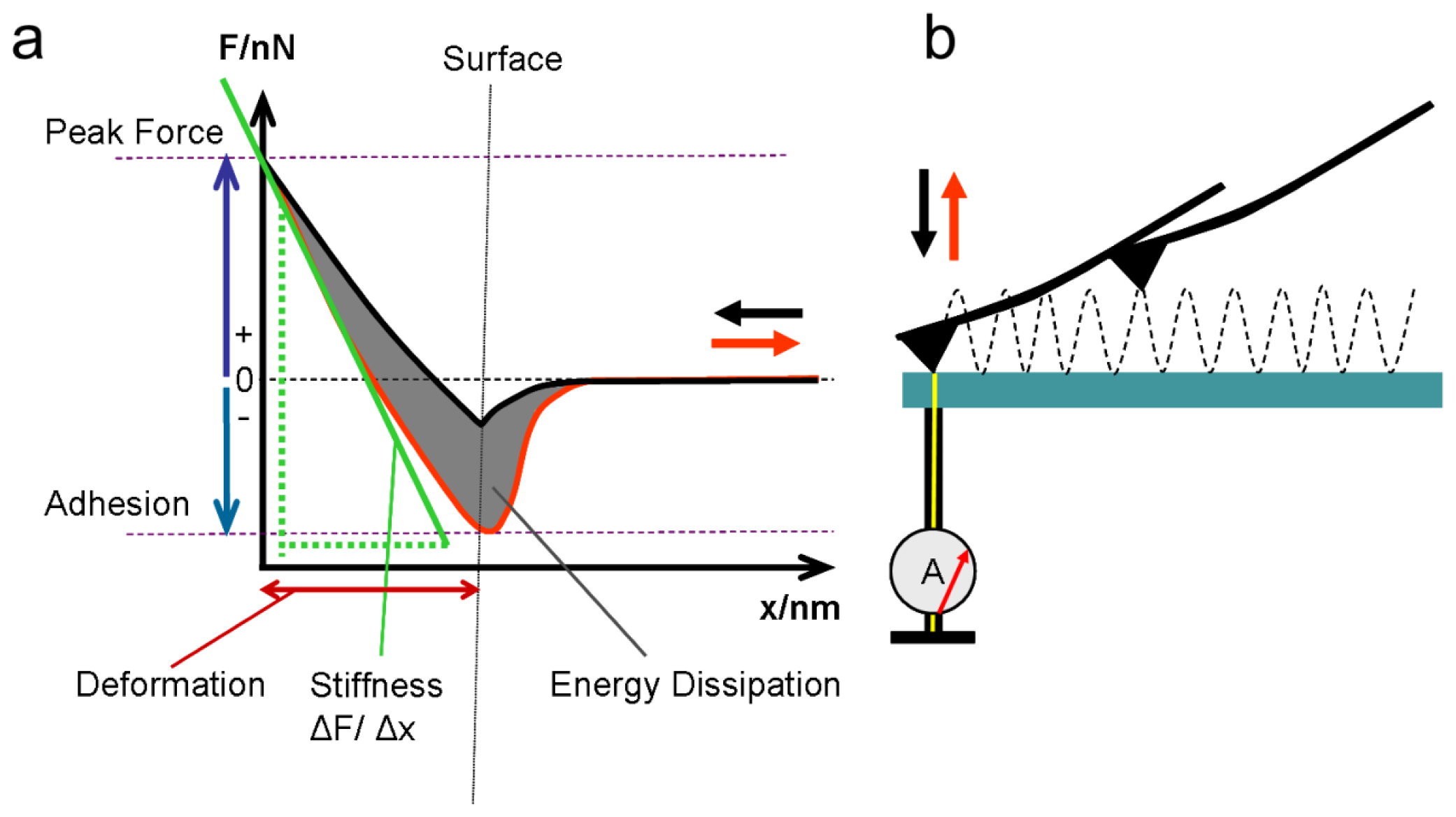 Membranes | Free Full-Text | Microscopic Analysis of Current and ...