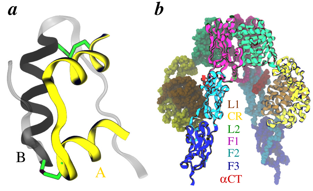 Membranes | Special Issue : Structure and Function of Membrane Receptors