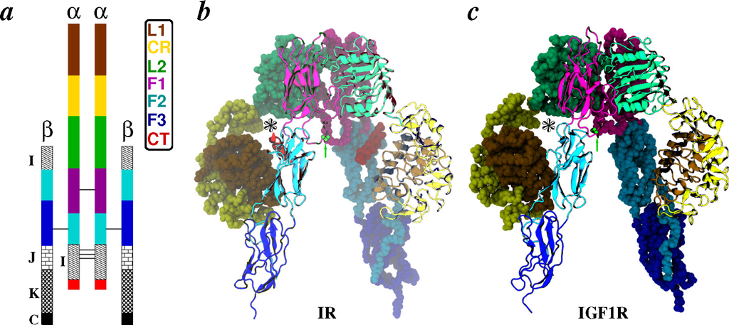 Membranes | Special Issue : Structure and Function of Membrane Receptors