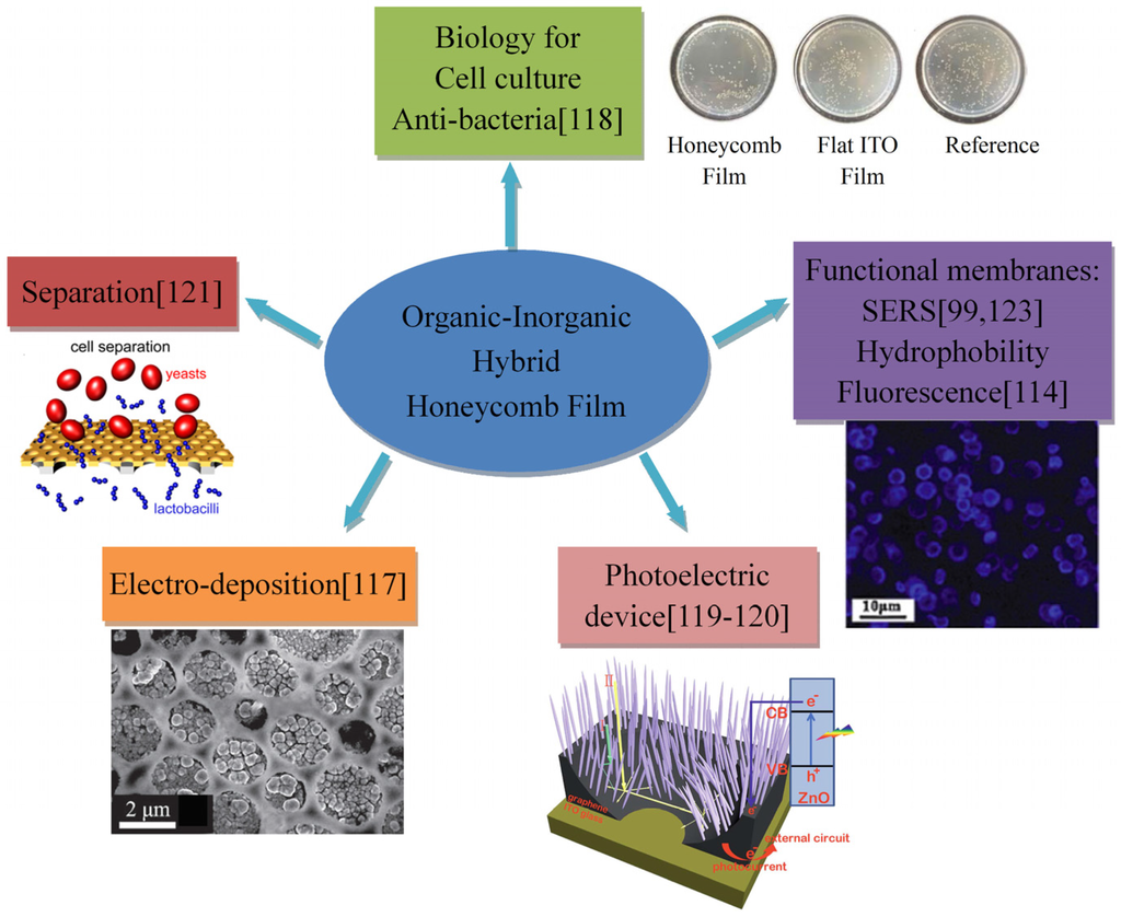 Breath Figure Method for Construction of Honeycomb Films