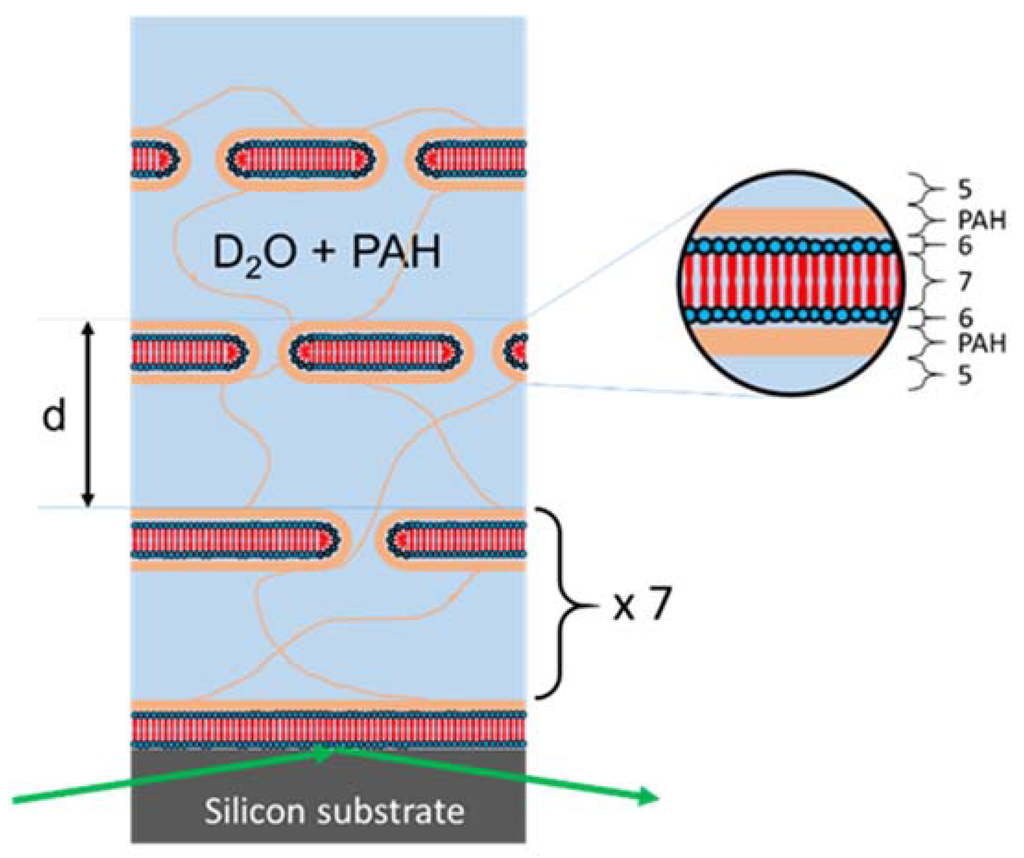Membranes | Special Issue : Membrane Structure and Dynamics