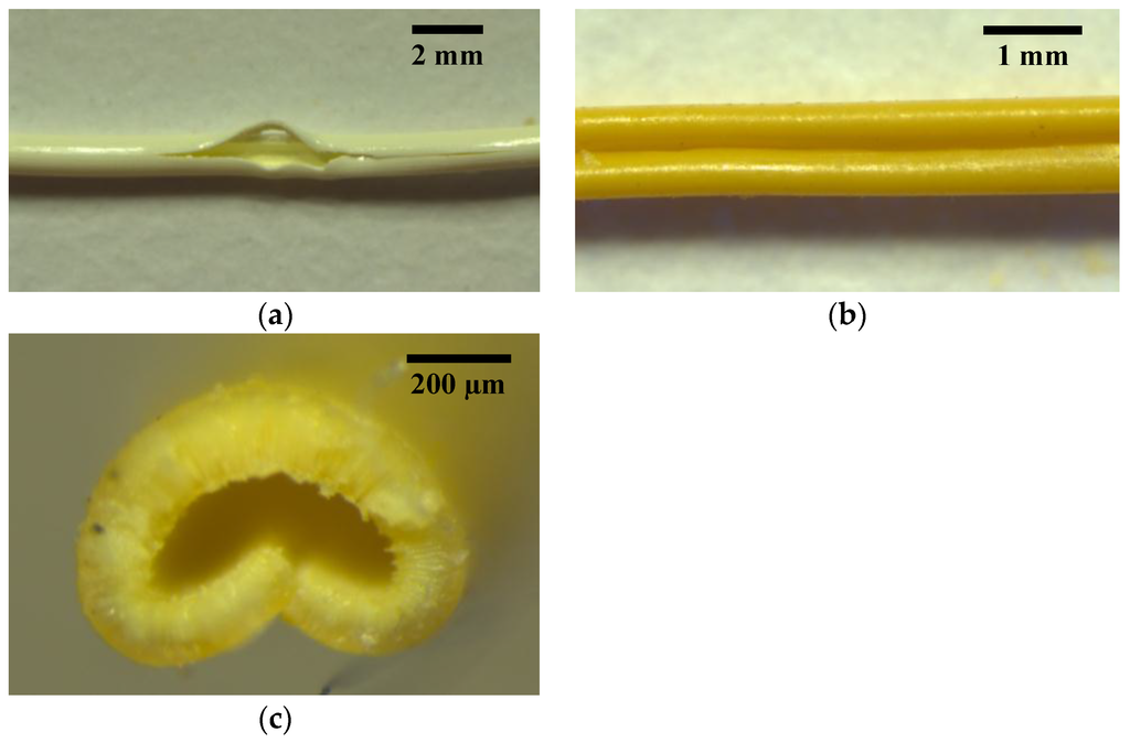 Failure Mechanisms of Hollow Fiber Supported Ionic Liquid Membranes
