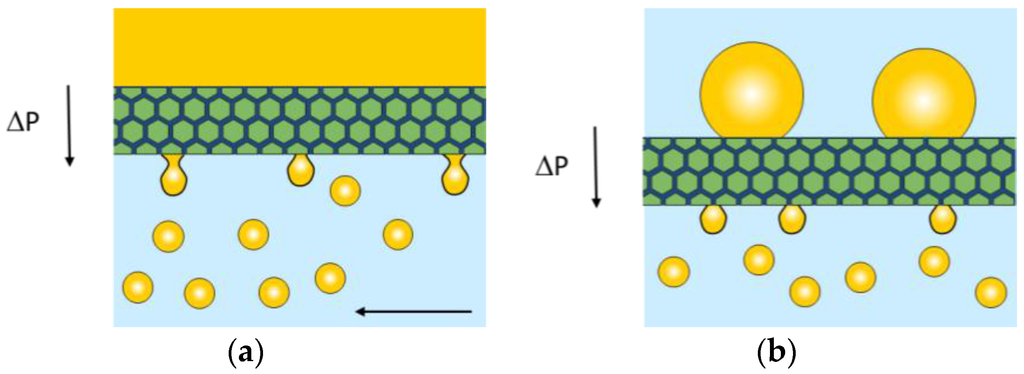 Membranes | Special Issue : Membrane Emulsification