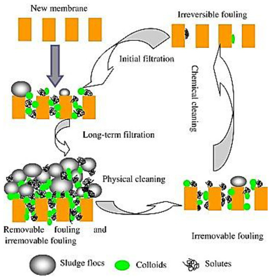 Electro-Conductive Membranes for Permeation Enhancement and Fouling ...