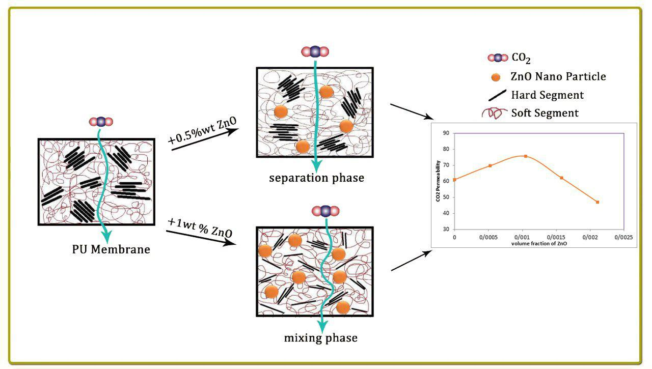 Membranes | Free Full-Text | Effects of ZnO Nanoparticle on the Gas Separation Performance of ...