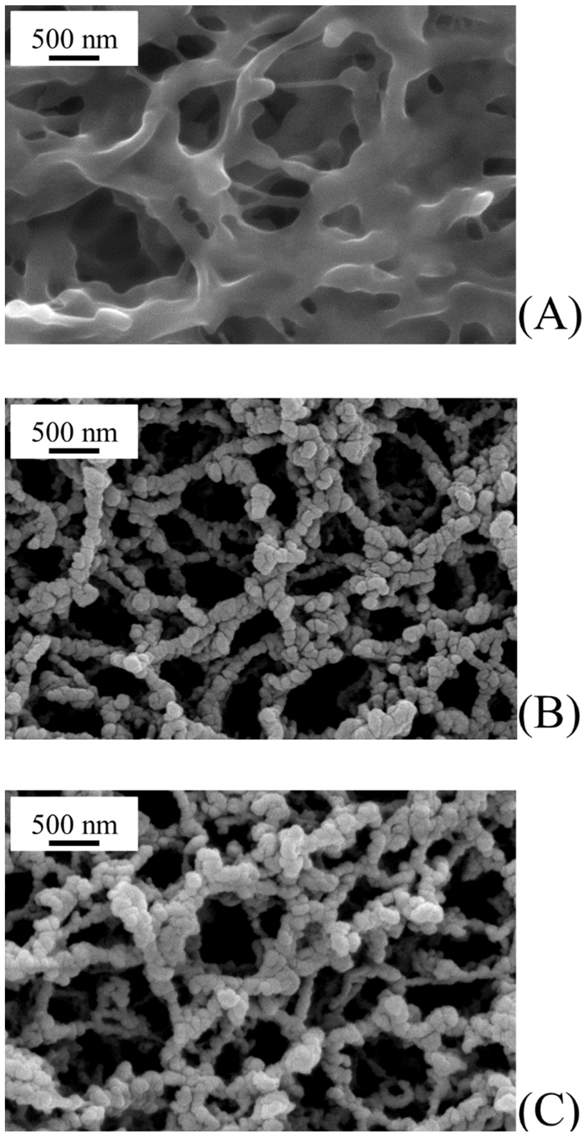 Chemical Vapor Deposition of Photocatalyst Nanoparticles on PVDF ...