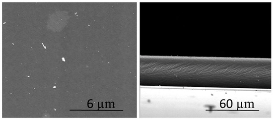 An Efficient Polymer Inclusion Membrane-Based Device for Cd Monitoring ...