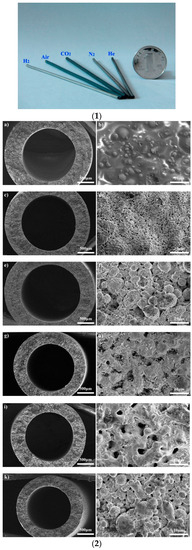 Membranes | Free Full-Text | Short Review on Porous Metal Membranes ...