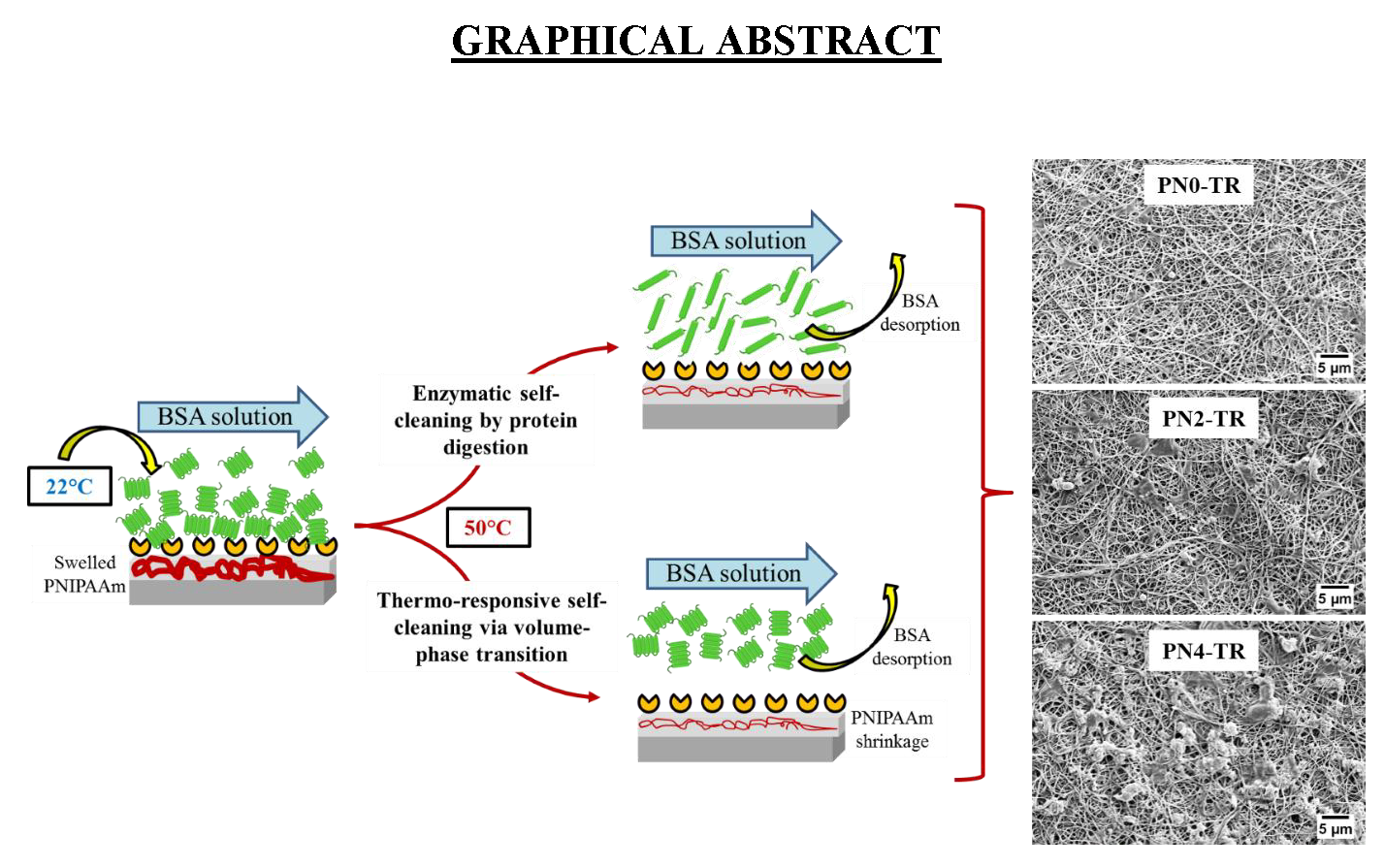 Membranes | Free Full-Text | Dual Functional Ultrafiltration Membranes ...