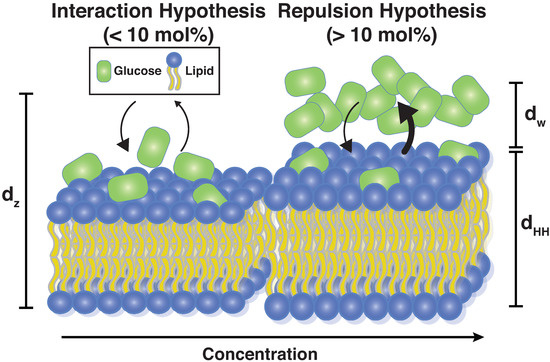 Glucose Can Protect Membranes against Dehydration Damage by Inducing a ...