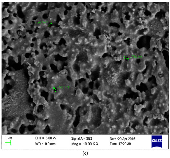 Silicon Carbide-Coated Ceramic Membrane Bioreactor for Sustainable ...