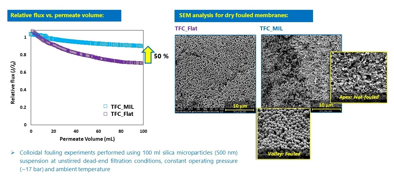 Membranes | Free Full-Text | Influence of Surface Micro-Patterning and ...