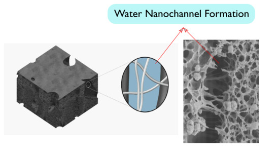 Membranes | Free Full-Text | Synthesis and Characterization of a High ...