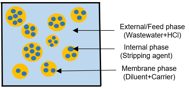 Membranes | Free Full-Text | Preliminary Study of Emulsion Liquid ...