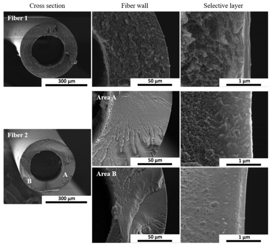 Fabrication of Defect-Free P84® Polyimide Hollow Fiber for Gas ...