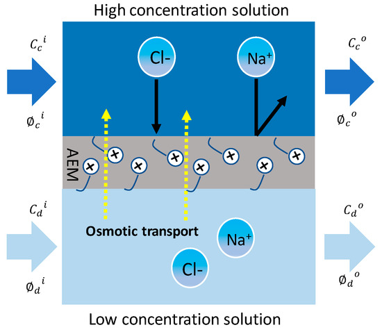 Design of Monovalent Ion Selective Membranes for Reducing the Impacts ...