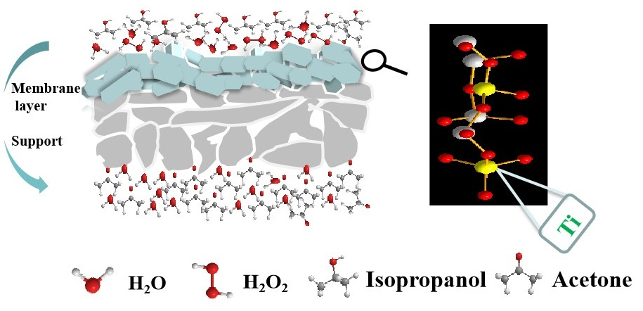 Membranes | Free Full-Text | Effects of Seed Crystals on the Growth and ...