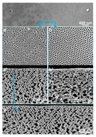 Facilitated Structure Formation in Isoporous Block Copolymer Membranes upon Controlled ...