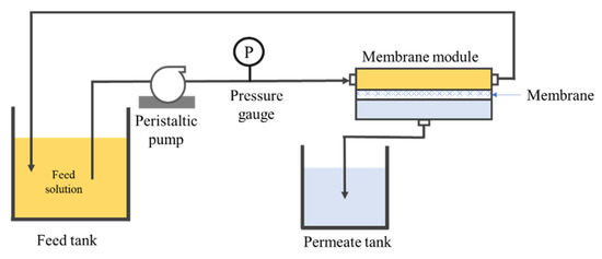 Development of Hydrophilic PVDF Membrane Using Vapour Induced Phase ...