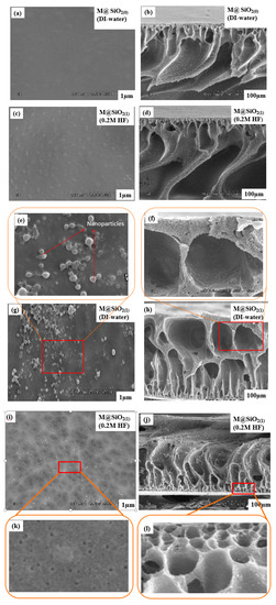 Preparation of an Ultrafiltration (UF) Membrane with Narrow and Uniform ...