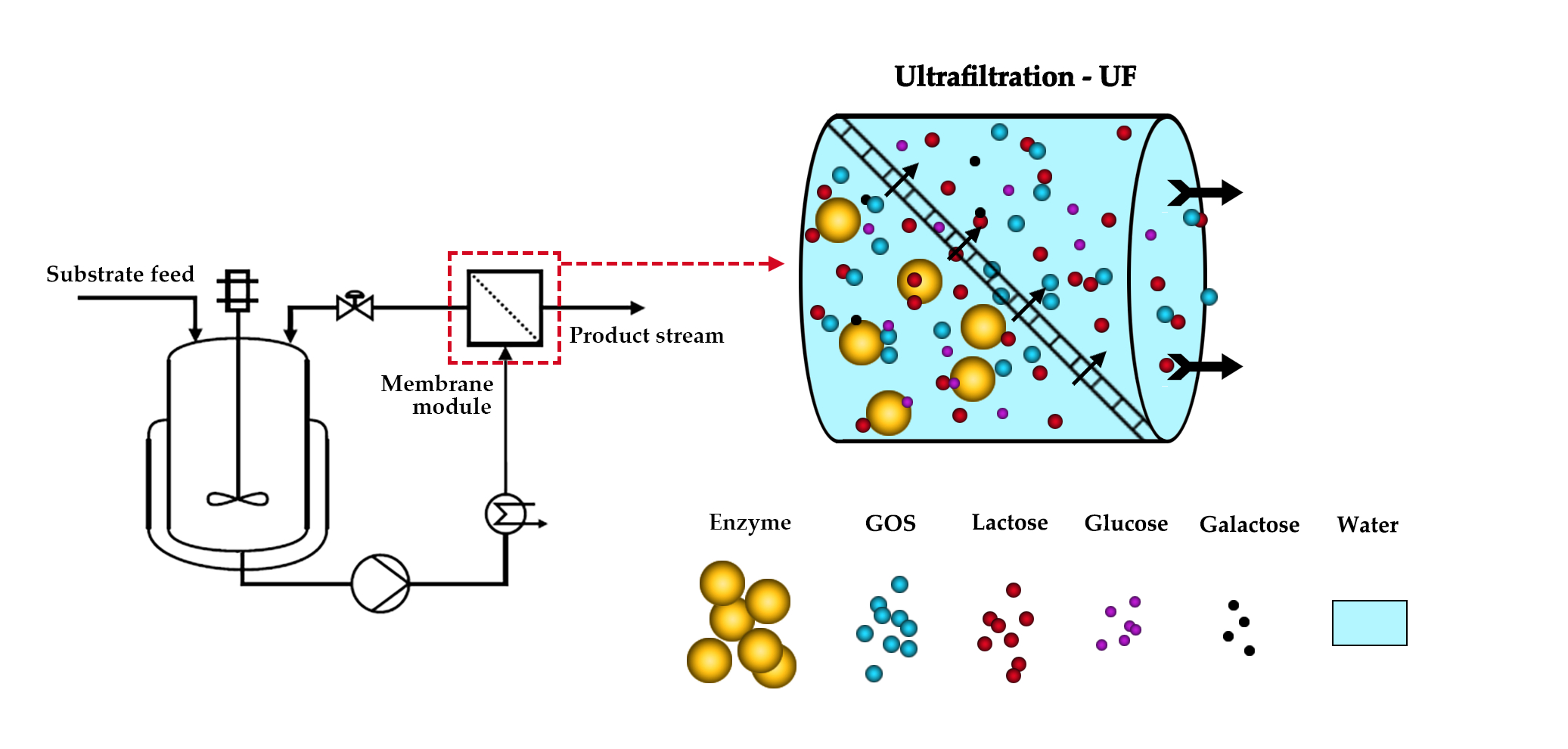 Membranes Free Full Text Continuous Production Of Galacto
