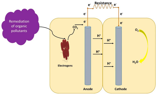Insights into Advancements and Electrons Transfer Mechanisms of ...