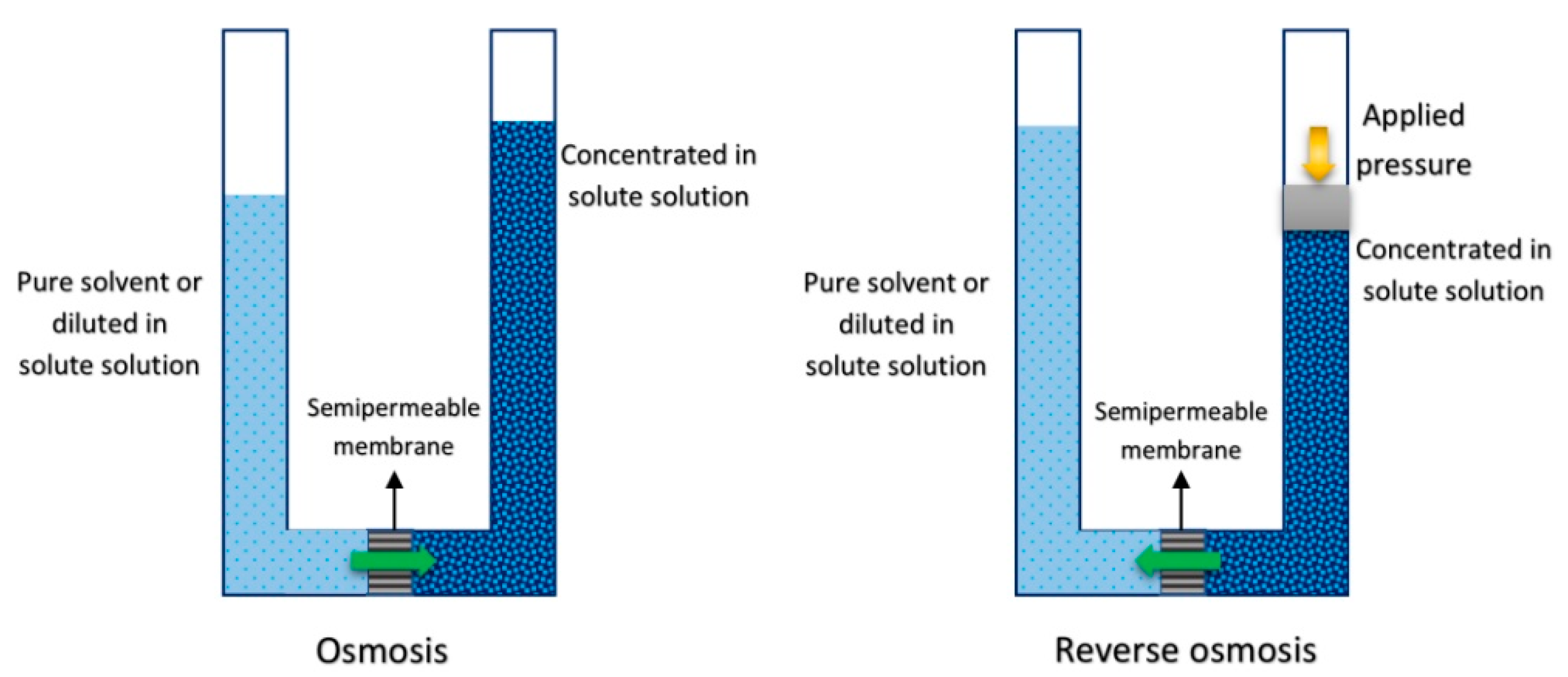 Membranes | Free Full-Text | Role of Membrane Technology in Absorption ...