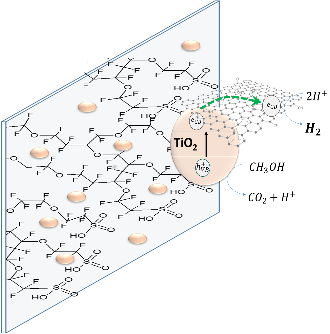 Membranes | Free Full-Text | Performance of rGO/TiO2 Photocatalytic ...