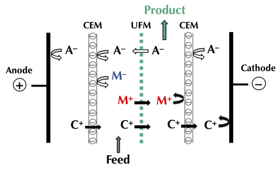 Electrodialytic Processes: Market Overview, Membrane Phenomena, Recent ...