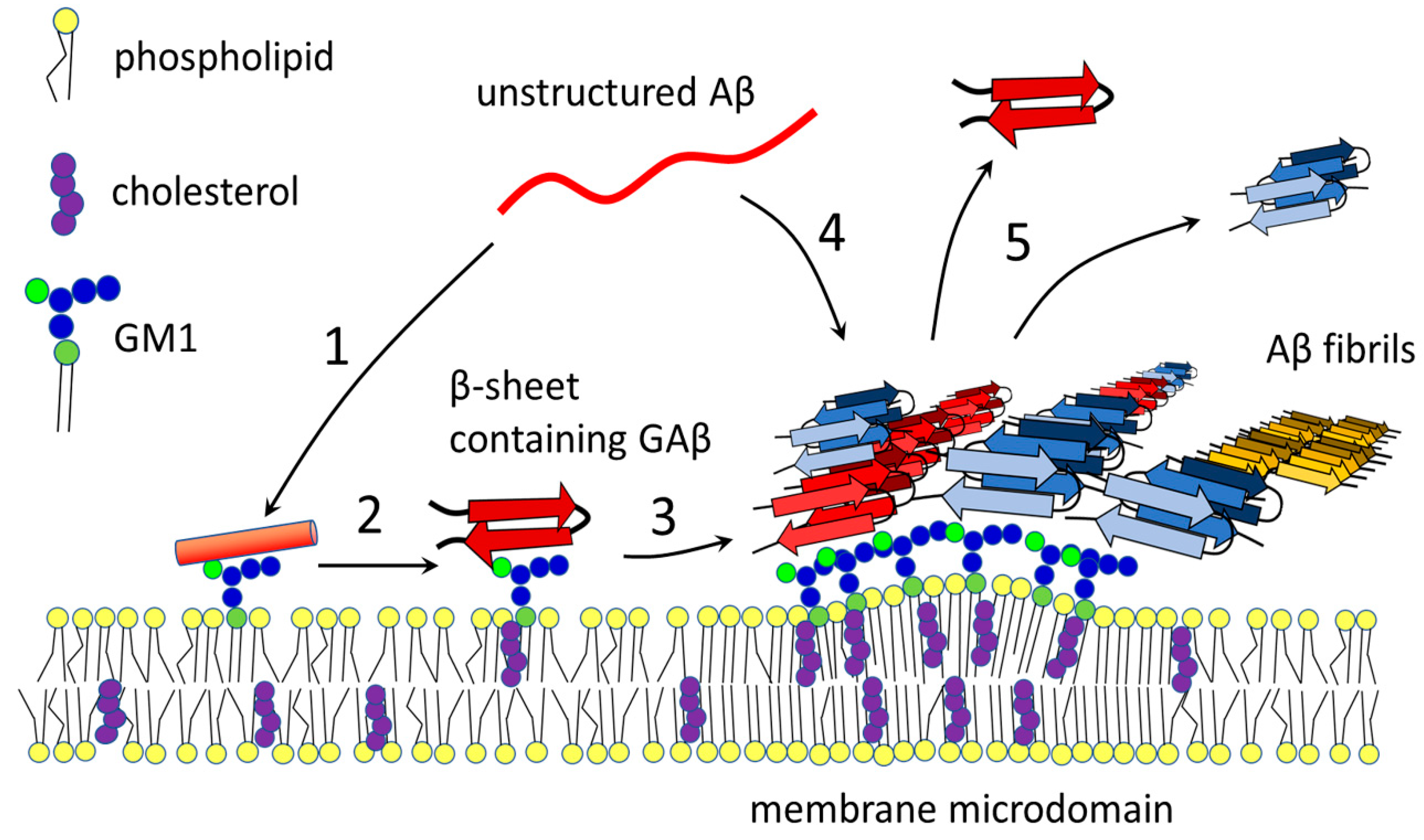 The Role of Lipid Environment in Ganglioside GM1-Induced Amyloid β ...