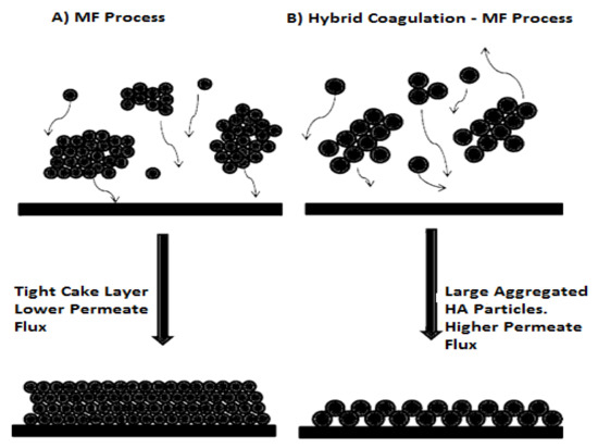 Ceramic Microfiltration Membranes in Wastewater Treatment: Filtration ...