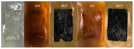 Membranes | Free Full-Text | Bovine Hemoglobin Enzymatic Hydrolysis by ...