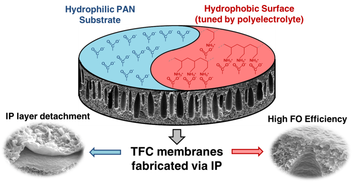 Membranes | Free Full-Text | Effects of the Substrate on Interfacial ...