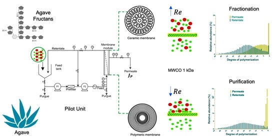 Membranes | Free Full-Text | Performance Evaluation of Tight ...