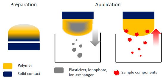 Unintended Changes of Ion-Selective Membranes Composition—Origin and ...