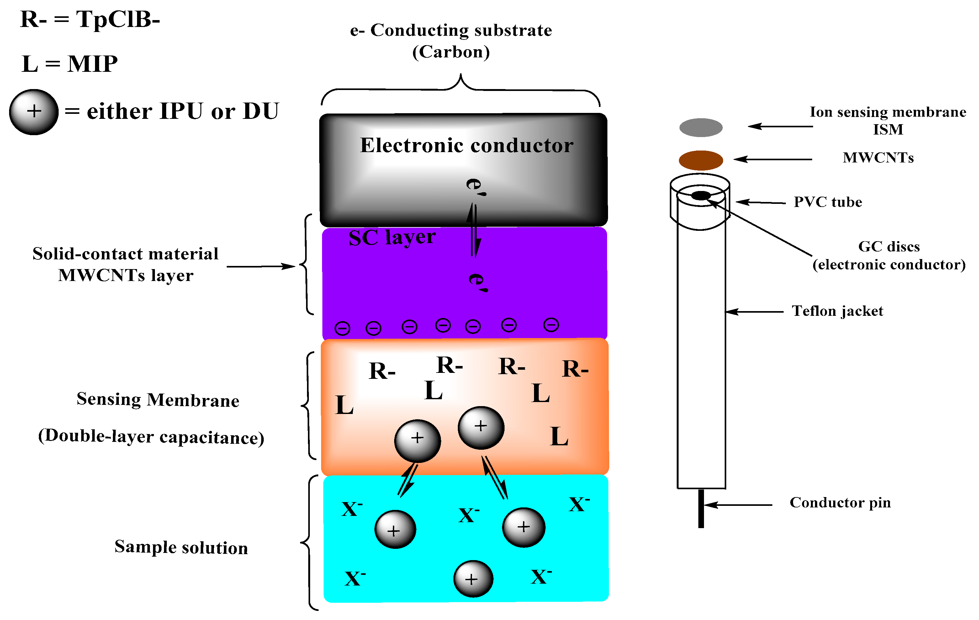 Solid-State Membrane Sensors Based on Man-Tailored Biomimetic Receptors ...