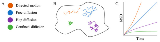 Revealing Plasma Membrane Nano-Domains with Diffusion Analysis Methods