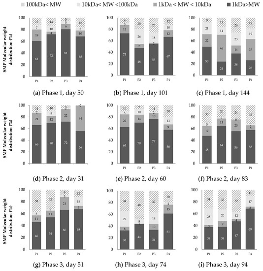 SMP Production in an Anaerobic Submerged Membrane Bioreactor (AnMBR) at ...