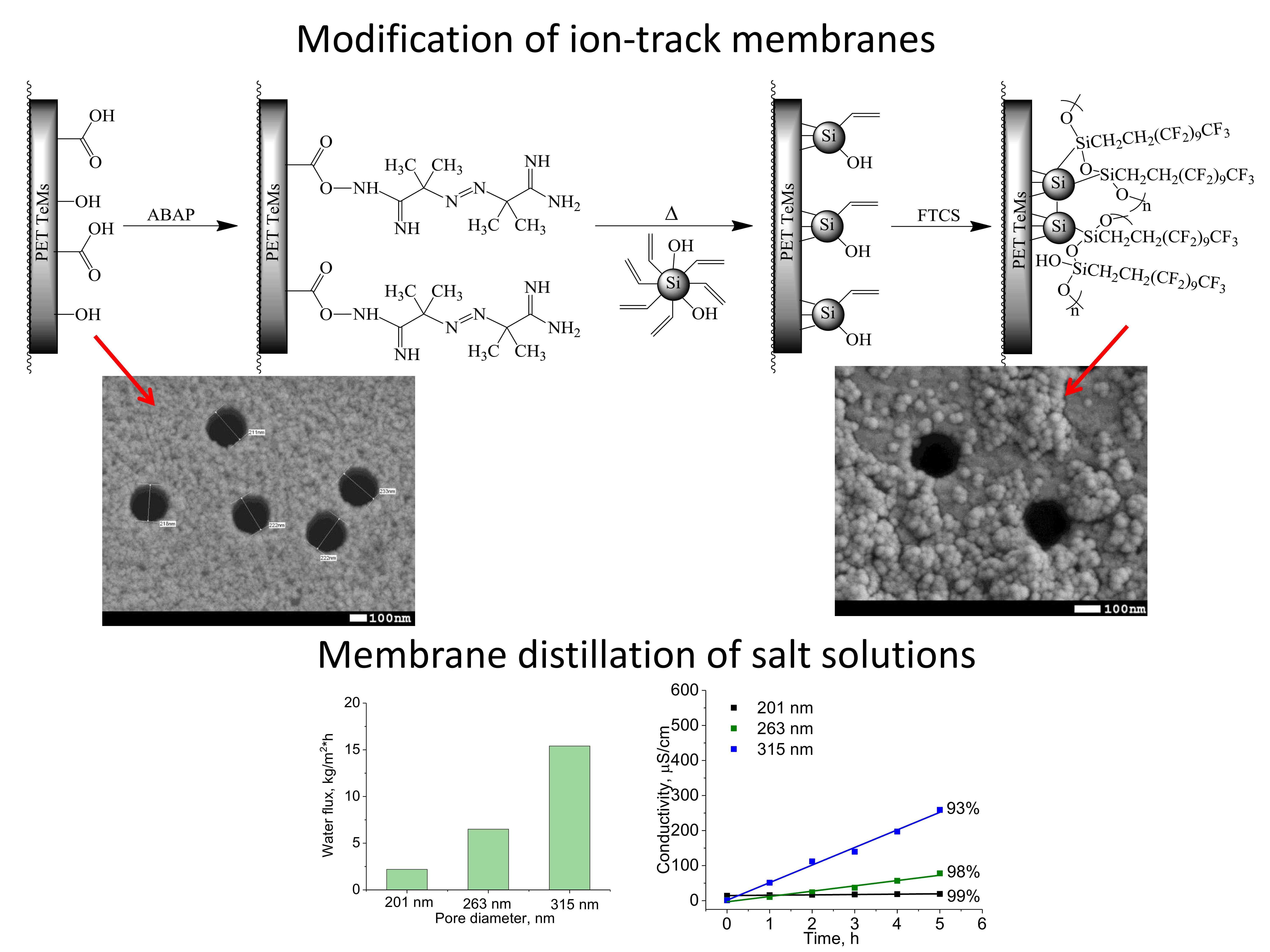 Membranes | Free Full-Text | Modification of PET Ion-Track Membranes by ...
