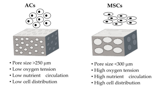 Review of Synthetic and Hybrid Scaffolds in Cartilage Tissue Engineering