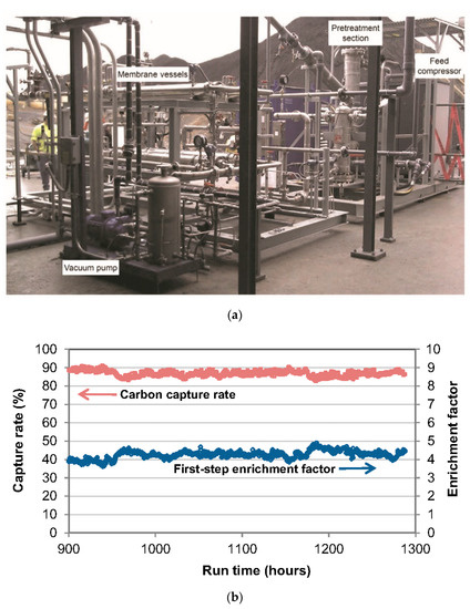 Recent Progress in the Engineering of Polymeric Membranes for CO2 Capture from Flue Gas