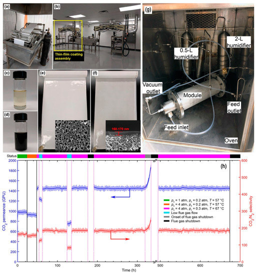 Recent Progress in the Engineering of Polymeric Membranes for CO2 Capture from Flue Gas