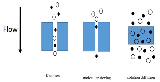 Mechanism and Compatibility of Pretreated Lignocellulosic Biomass and ...