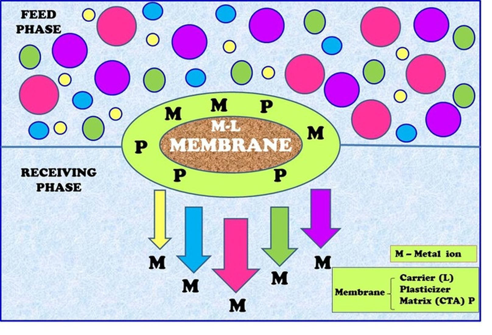 Membranes | Free Full-Text | New Polymer Inclusion Membrane in the ...