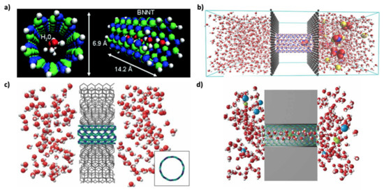 Boron Nitride Nanotube (BNNT) Membranes for Energy and Environmental ...