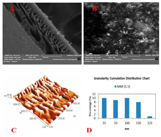 Carbon Nanotubes-Sponge Modified Electro Membrane Bioreactor (EMBR) and ...
