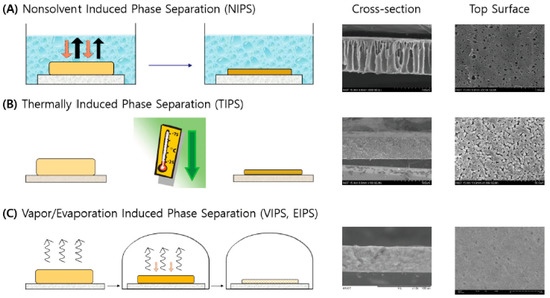 Sustainable Fabrication of Organic Solvent Nanofiltration Membranes