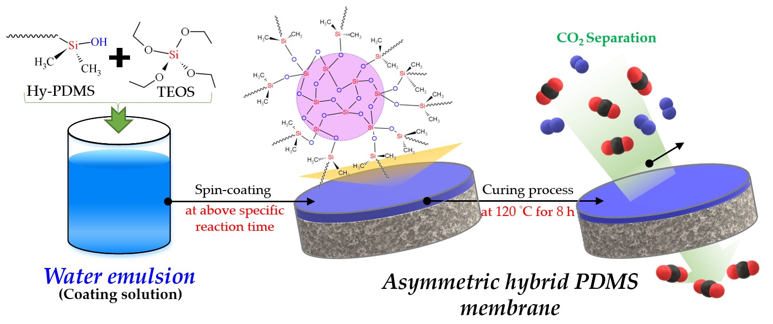 Membranes | Free Full-Text | Impacts of Green Synthesis Process on ...