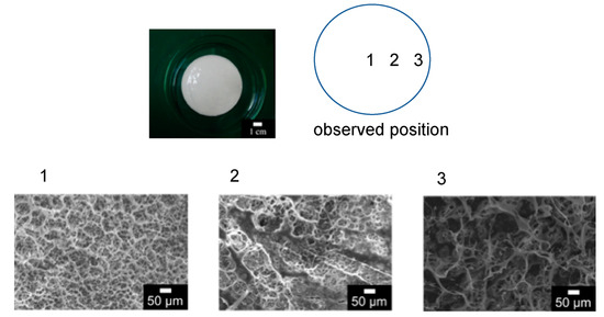 Recovery of Filtered Particles by Elastic Flat-Sheet Membrane with ...