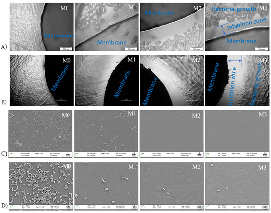 Substrate-Independent, Regenerable Anti-Biofouling Coating for ...